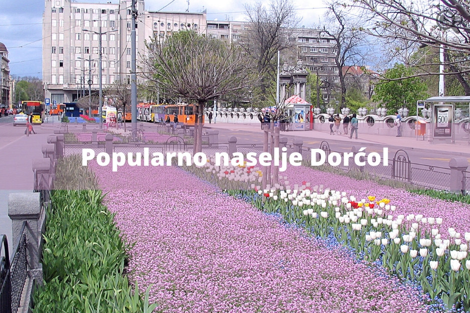 Popularno naselje Dorćol ~ Blog